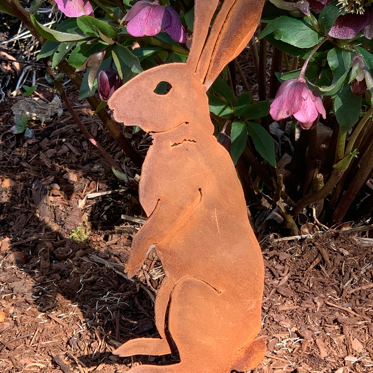 Plants & Animals – Rusty Birds