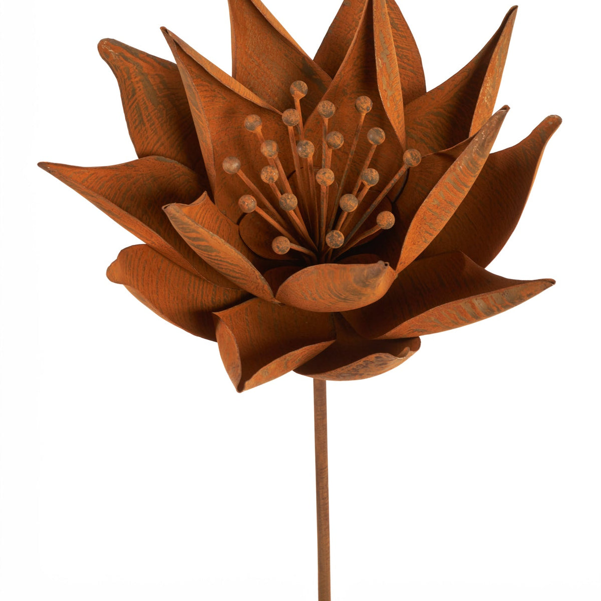 Ember Flower – Rusty Birds