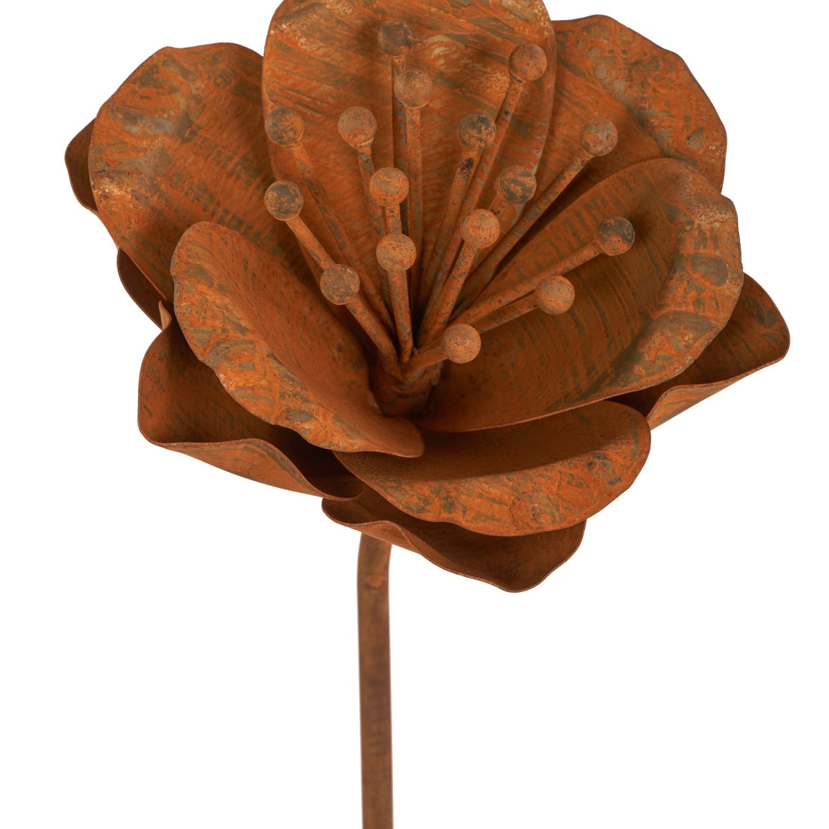 Elouise Flower – Rusty Birds