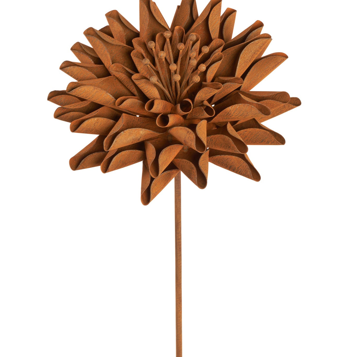 Freya Flower – Rusty Birds