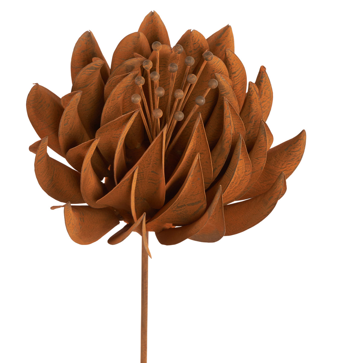 Zenia Flower – Rusty Birds