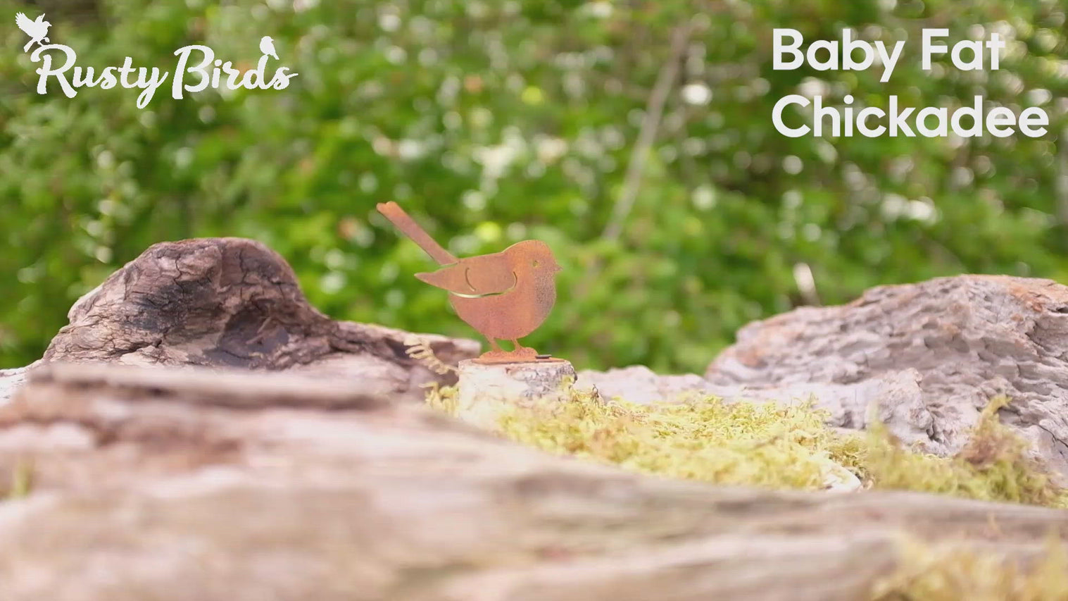 Baby Fat Chickadee – Rusty Birds