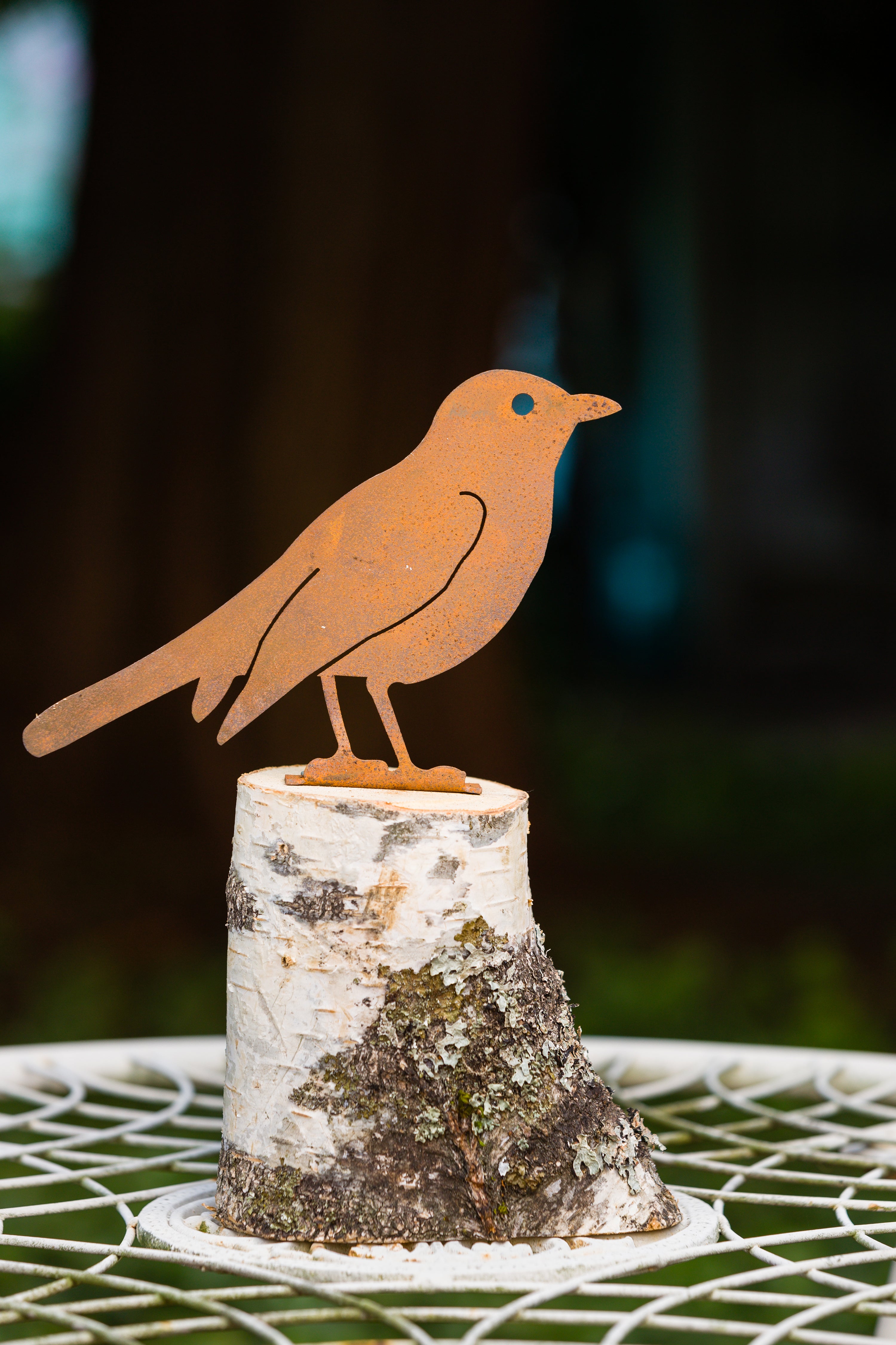 Robin - Rusty Birds - Decorative Metal Birds