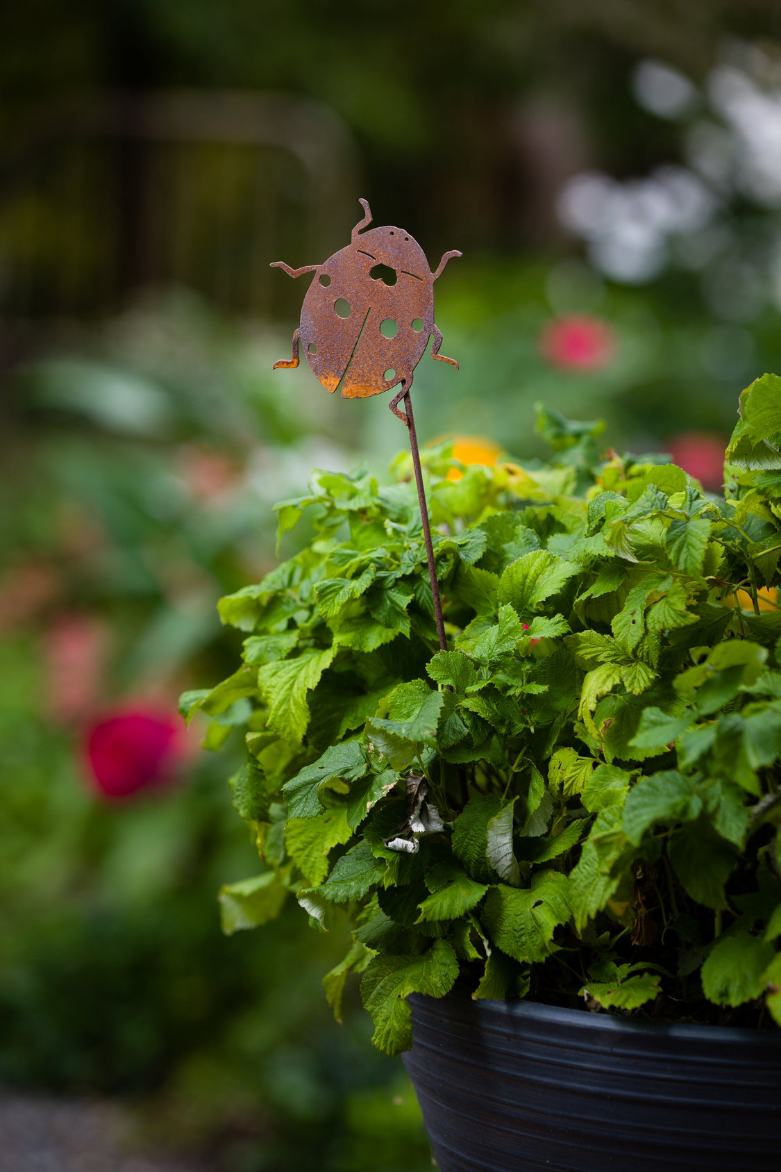Ladybug Pick - Rusty Birds - Unique Garden Art